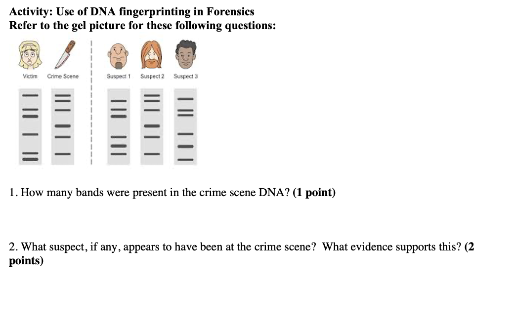 Solved Activity: Use of DNA fingerprinting in Forensics | Chegg.com