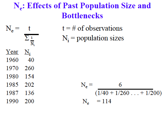 Solved 3. EFFECTIVE POPULATION DOWNSIZING! Calculate the | Chegg.com