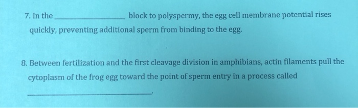 Solved block to polyspermy, the egg cell membrane potential | Chegg.com