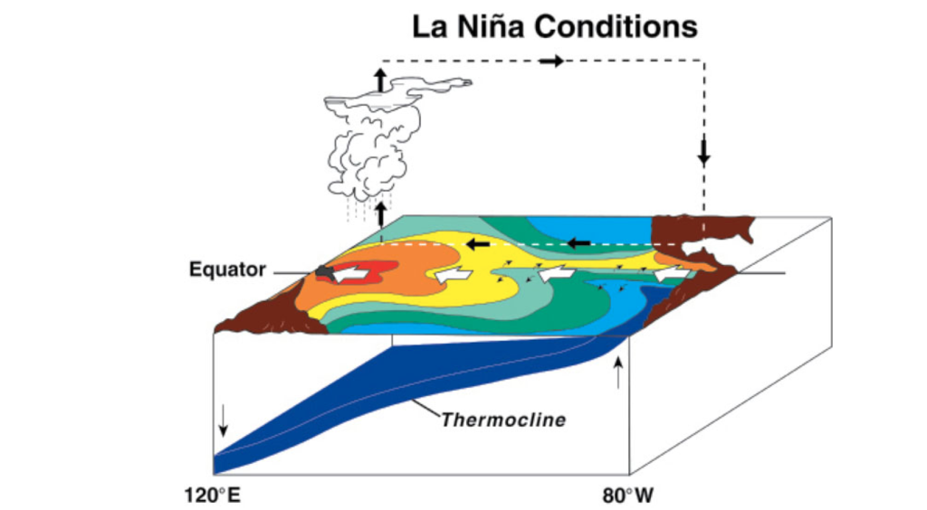 Solved The Tropical Pacific during La Niña 19. Figure 10B-3 | Chegg.com