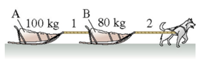 Solved The sled dog in figure drags sleds A and B across the | Chegg.com