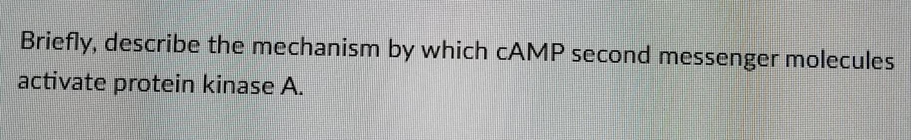 Solved Bricfly, describe the mechanism by which cAMP second | Chegg.com Solved Bricfly, describe the mechanism by which cAMP second | Chegg.com