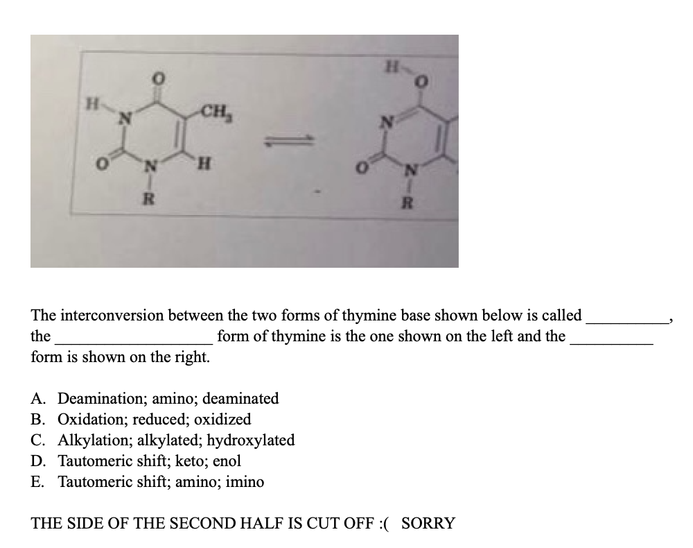 Solved Leadar region trpE trpD trpc trpB trpA DNA 3' | Chegg.com