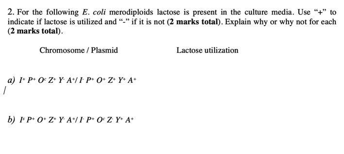 Solved For the following E. ﻿coli merodiploids lactose is | Chegg.com