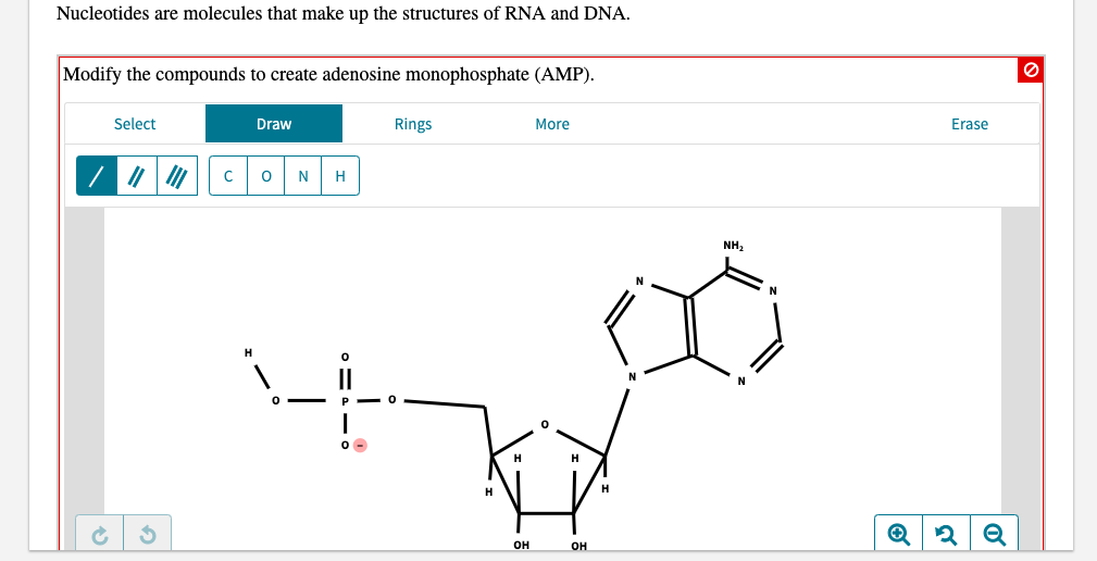 Solved Nucleotides are molecules that make up the structures | Chegg.com