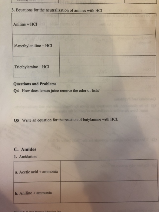 Solved 3. Equations for the neutralization of amines with | Chegg.com