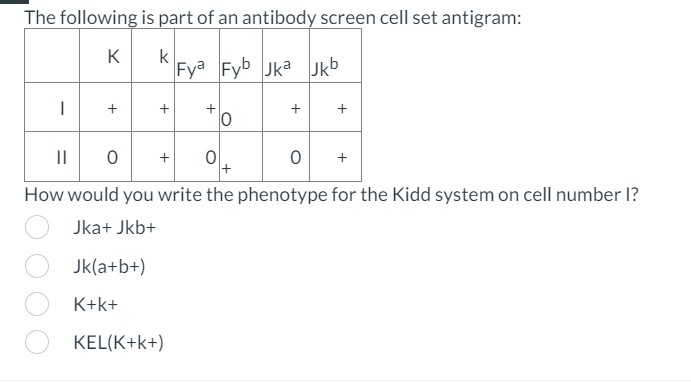 Solved The following is part of an antibody screen cell set | Chegg.com