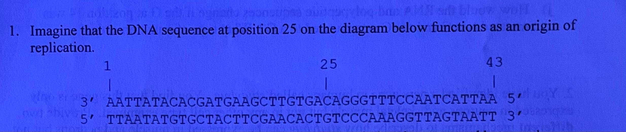 Solved g) Assuming that the promoter is upstream of the | Chegg.com