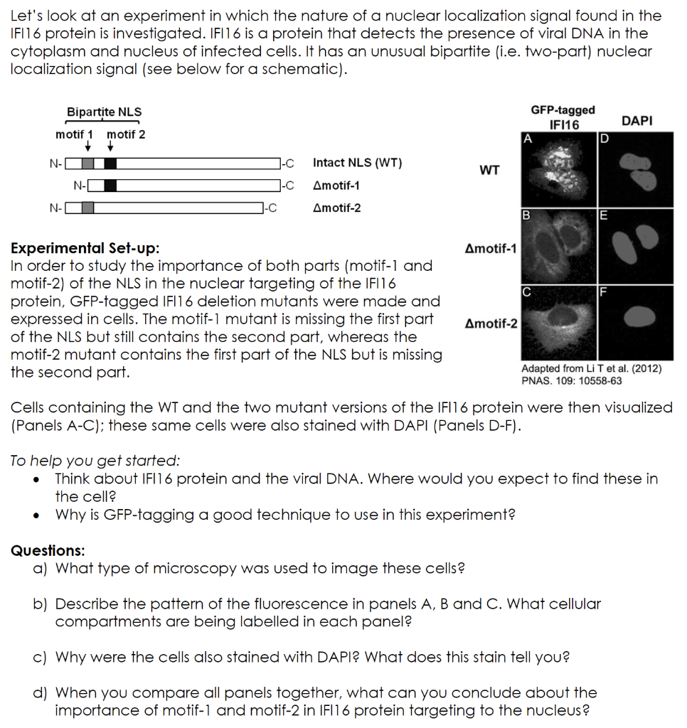 Solved Let's look at an experiment in which the nature of a | Chegg.com