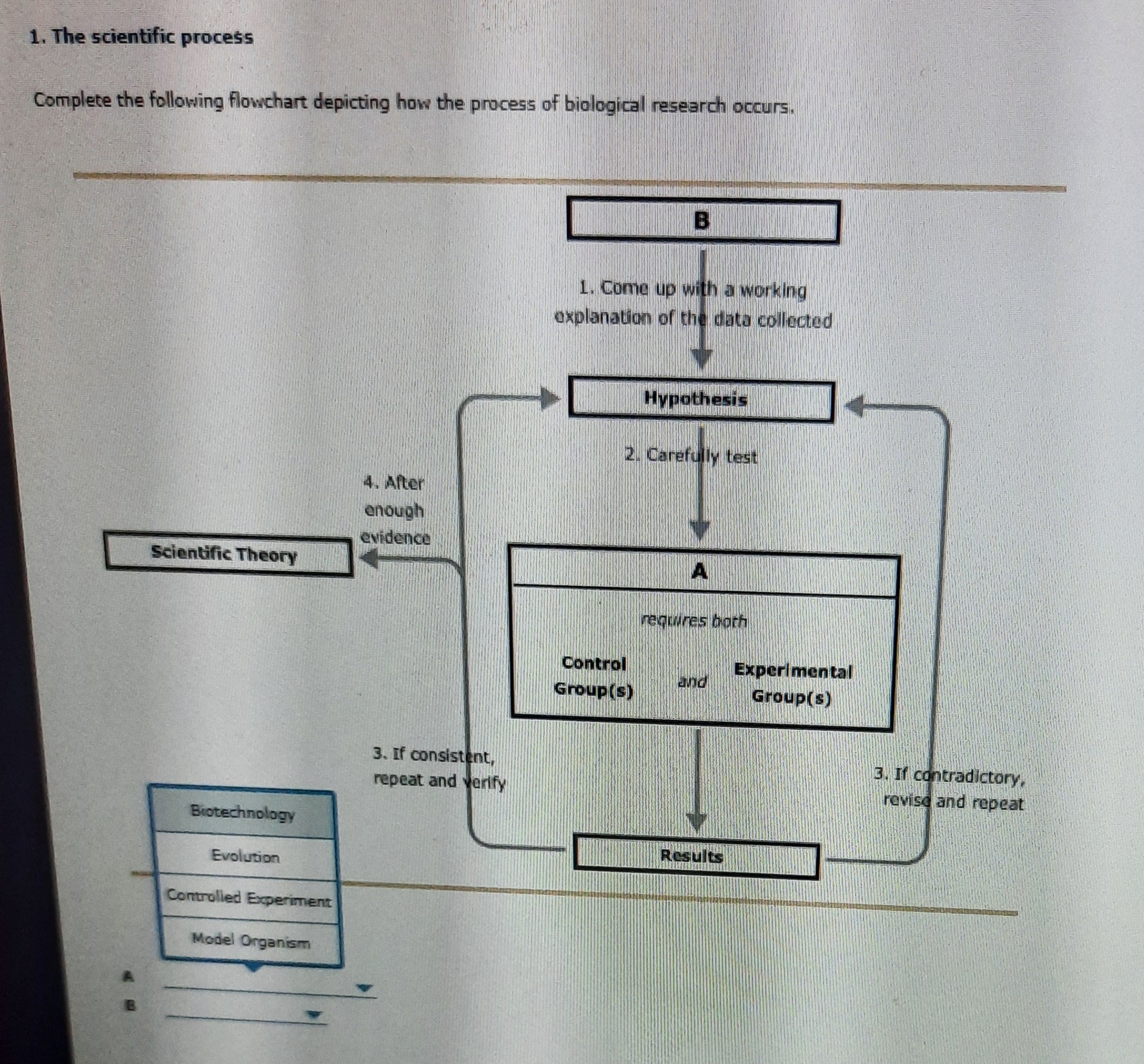 Solved Please fill out the blanks for A and B for the image | Chegg.com