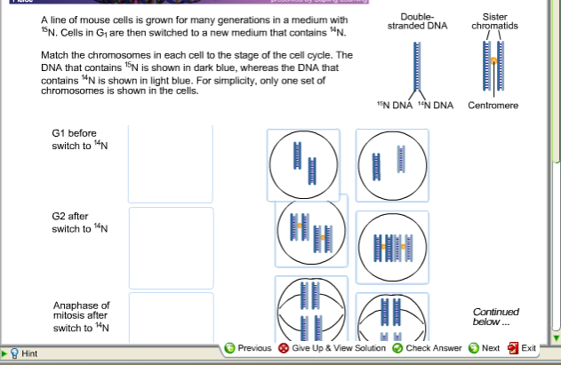 Solved A line of mouse cells is grown for many generations | Chegg.com