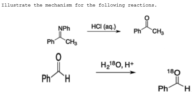 Solved Illustrate the mechanism for the following reactions. | Chegg.com