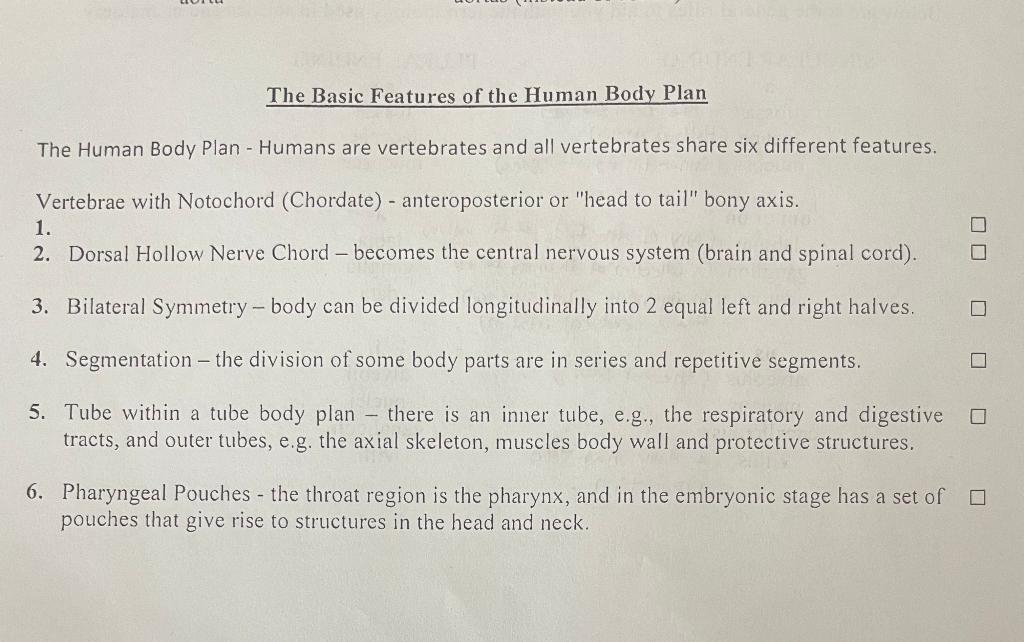 Solved The Basic Features of the Human Body Plan The Human | Chegg.com