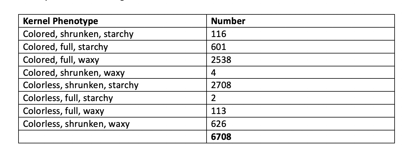 Solved Researchers cross a corn plant that is pure-breeding | Chegg.com