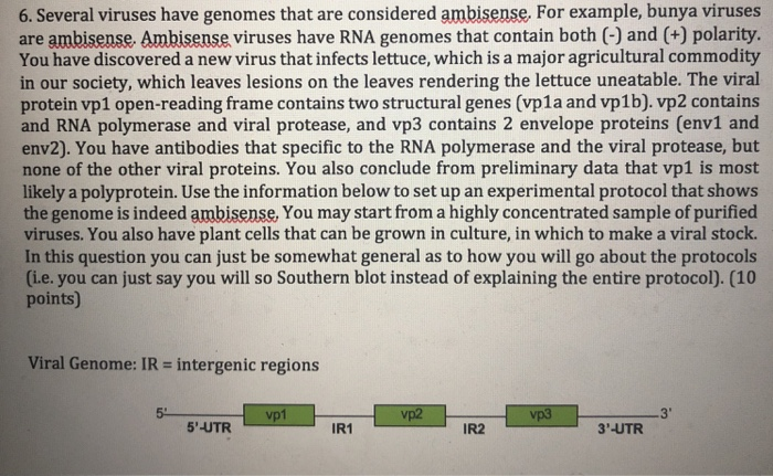 Solved 6. Several viruses have genomes that are considered | Chegg.com
