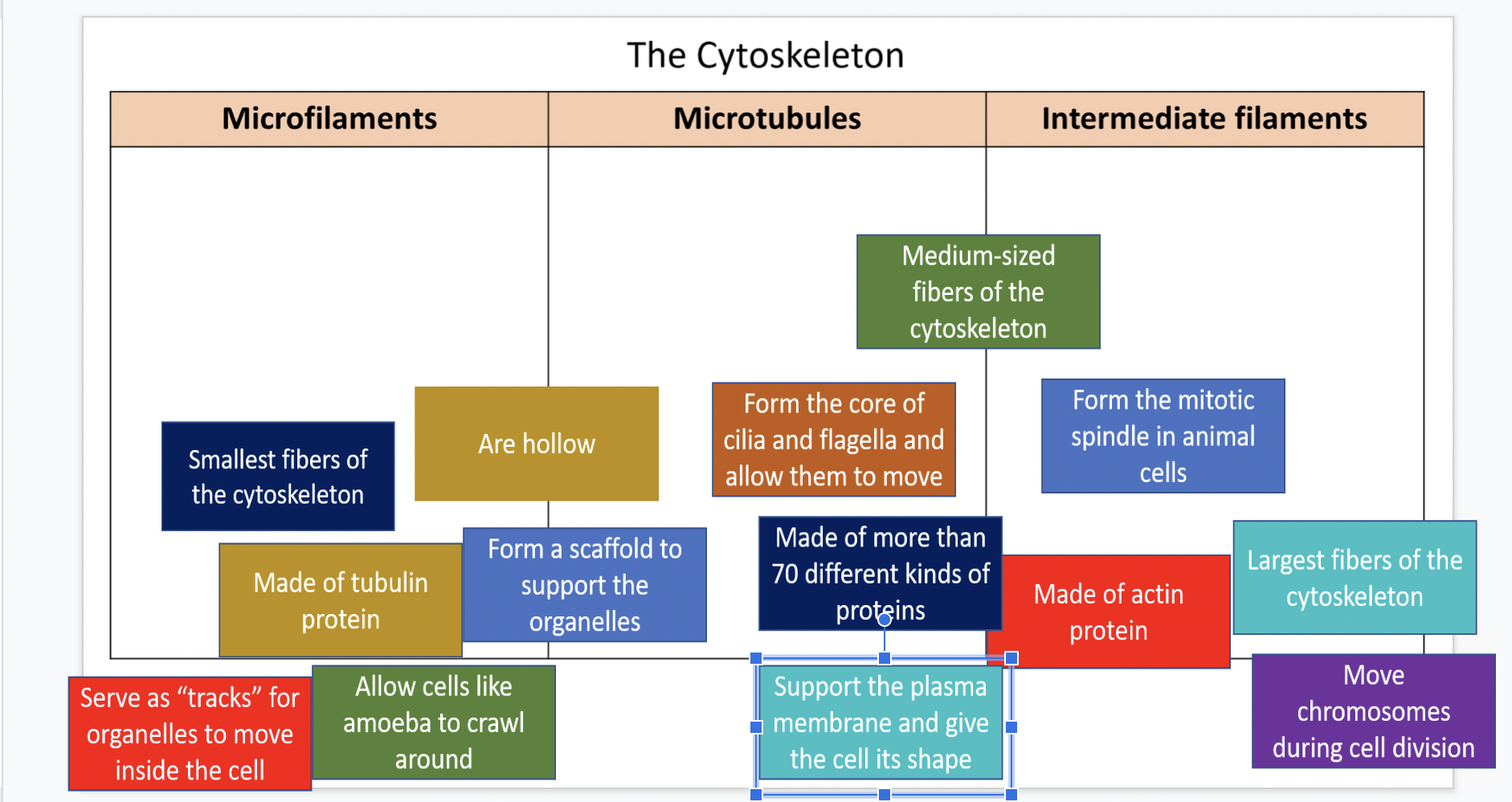 Solved The Cytoskeleton Microfilaments Microtubules | Chegg.com