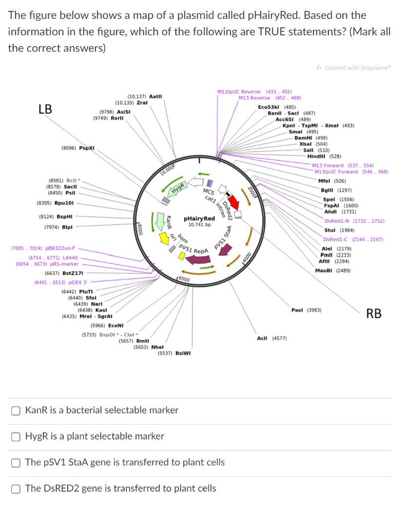 Solved The figure below shows a map of a plasmid called | Chegg.com