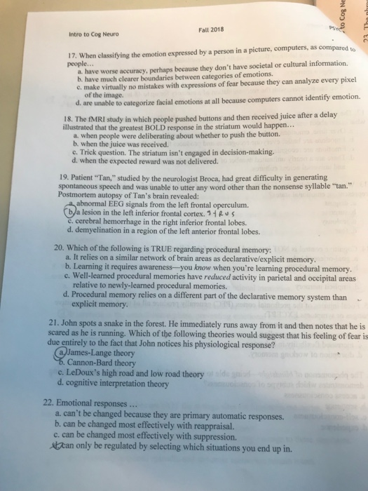 Solved Fall 2018 Intro to Cog Neuro than that for words 29. | Chegg.com
