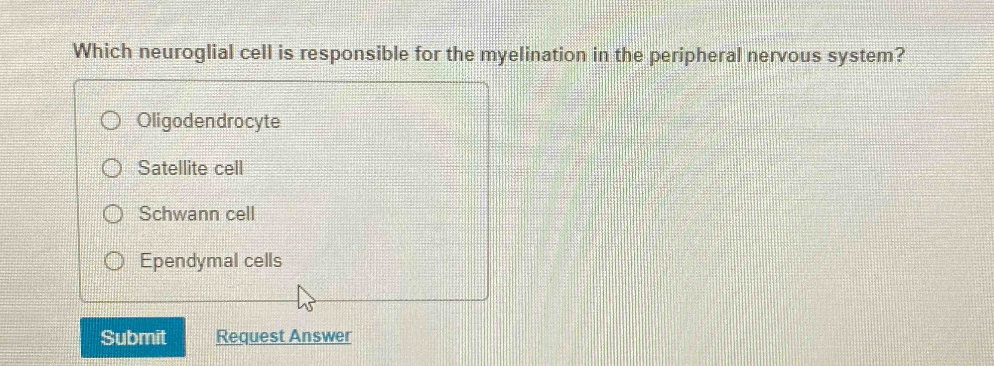 Solved Which neuroglial cell is responsible for the | Chegg.com