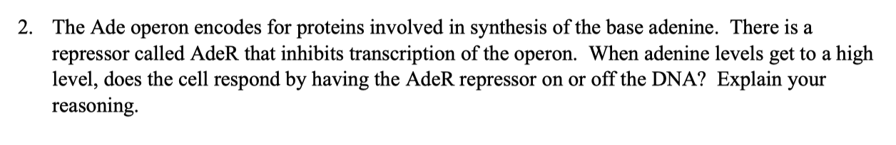 Solved The Ade operon encodes for proteins involved in | Chegg.com