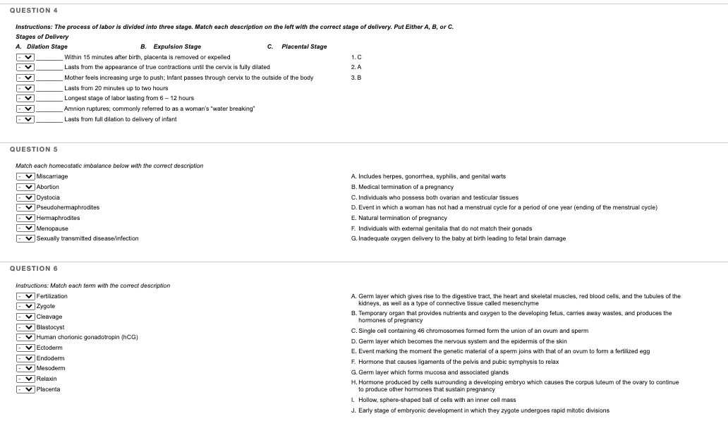 Solved QUESTION 4 Instructions: The process of labor is | Chegg.com