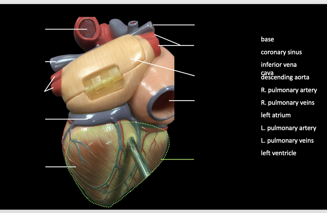 Solved Please label all the parts listed correctly | Chegg.com