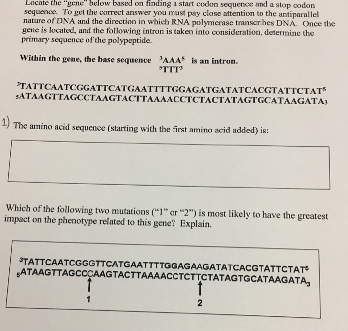 Solved Locate the "gene" below finding based on a start | Chegg.com