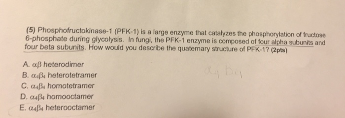 Solved (5) Phosphofructokinase-1 (PFK-1) is a large enzyme | Chegg.com