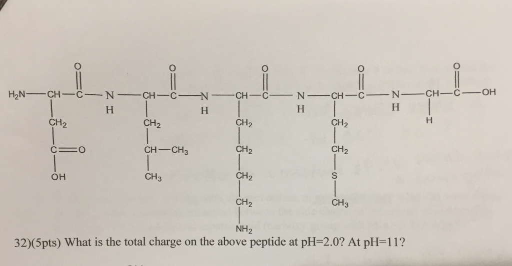 Solved NCH-CN_CH-COH H2N_CHC_N CH2 CH2 CH-CH3 CH3 CH2 CH2 | Chegg.com