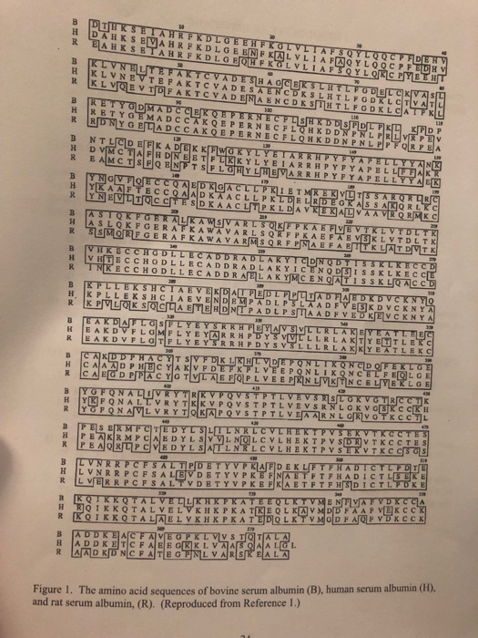 Solved 7) A (corrected) amino acid sequence for Bovine Serum | Chegg.com