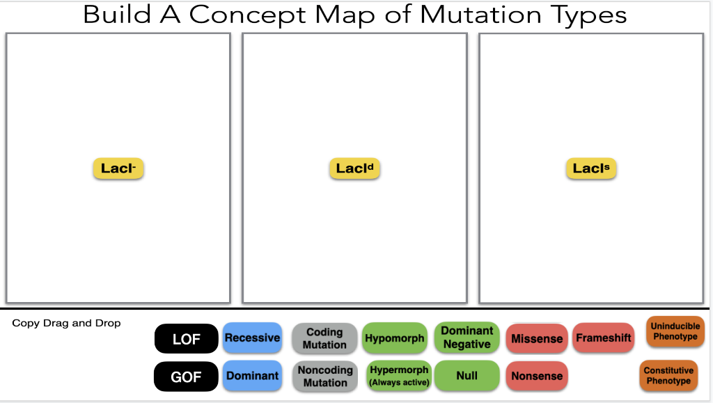 Build A Concept Map of Mutation Types Lacl- Lacls | Chegg.com