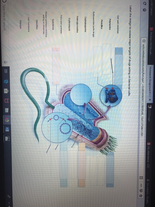 Solved based upon your results from the fermentation | Chegg.com