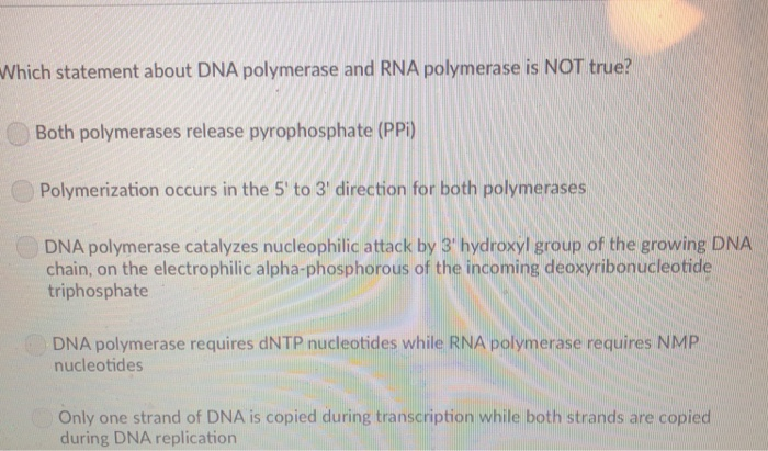 Solved Which statement about DNA polymerase and RNA | Chegg.com