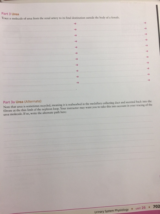 Solved et's now trace the pathway of different substances | Chegg.com