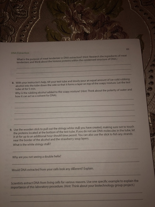 Solved 89 DNA Extraction What is the purpose of meat | Chegg.com