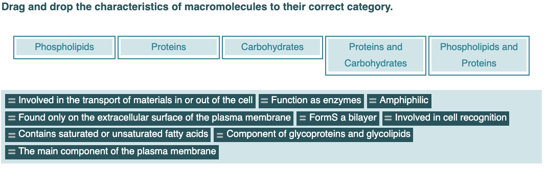 Solved Drag And Drop The Characteristics Of Macromolecules