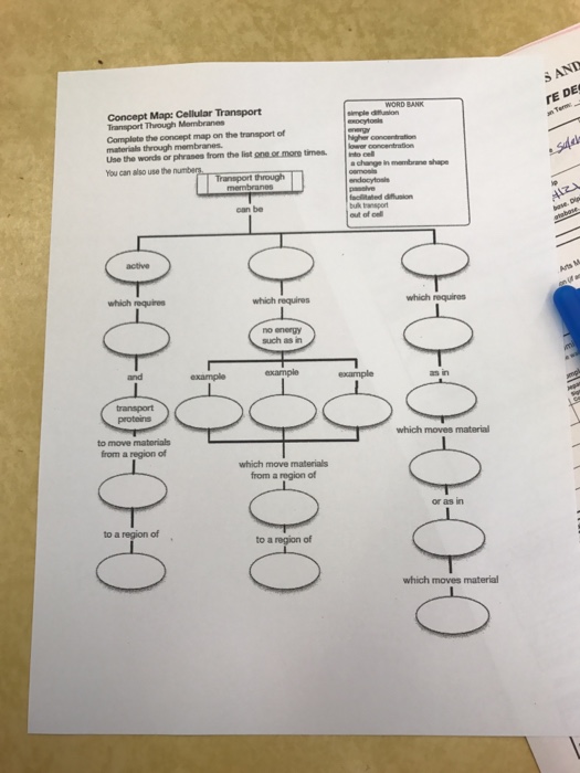 Solved Transport through membranes Complete the concept map | Chegg.com