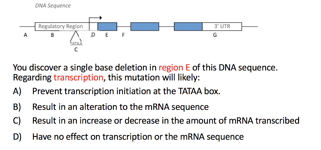 Solved You discover a single base deletion in region E of | Chegg.com