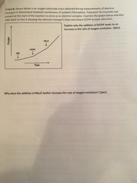 Solved Shown below is an oxygen electrode trace obtained | Chegg.com