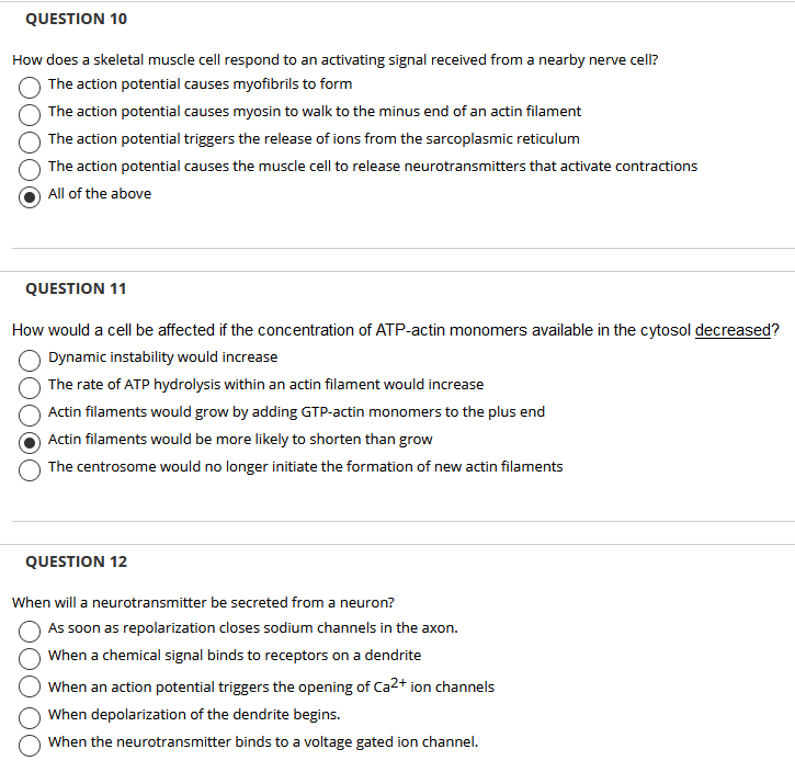 Solved QUESTION 10 How Does A Skeletal Muscle Cell Respond Chegg