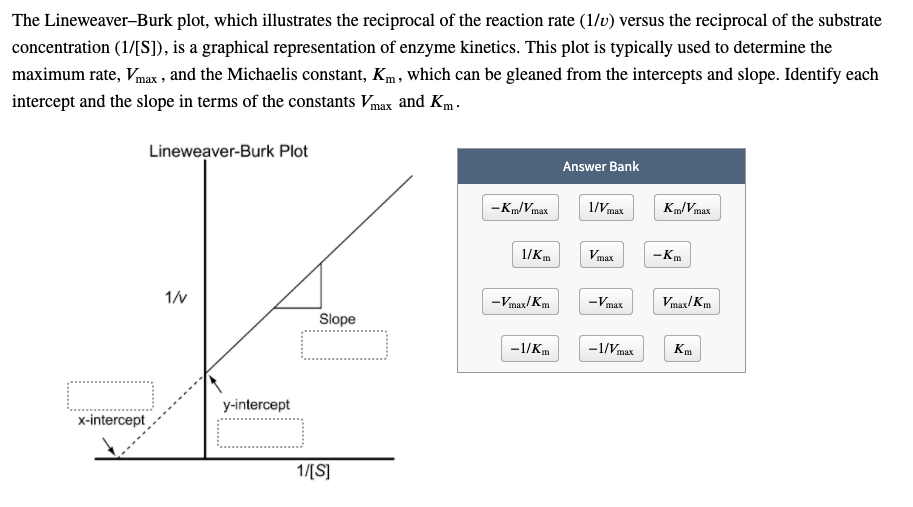 Solved The Lineweaver-Burk plot, which illustrates the | Chegg.com