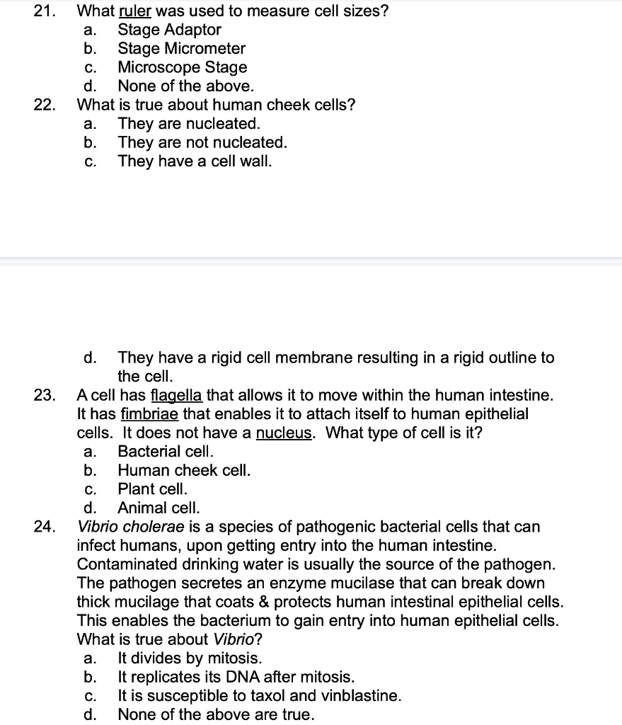 Solved 21. What ruler was used to measure cell sizes? a. | Chegg.com