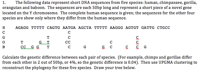 Solved 1. The following data represent short DNA sequences | Chegg.com