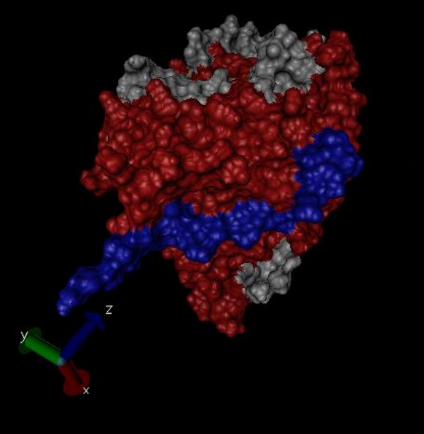 Solved note: PA2G4 (red and grey) and MYCN (blue).Why is the | Chegg.com