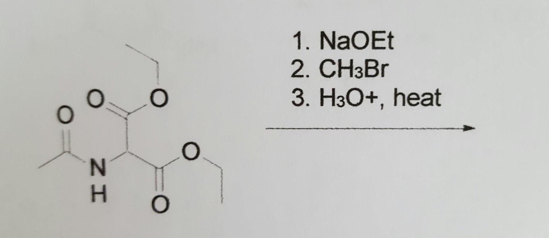 Solved 1. NaOEt 2. CH3CH2Br 3. NaOEt O O 4. Br 5. H30+ heat | Chegg.com