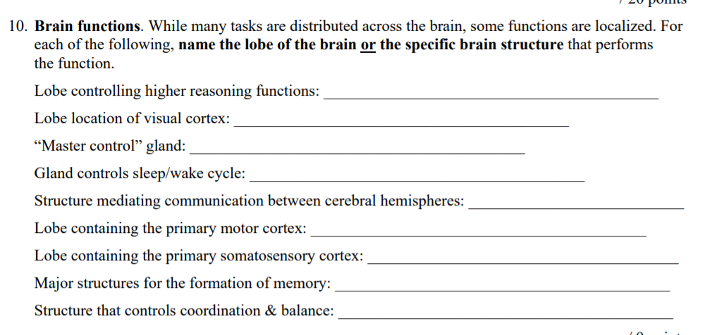 Solved 10. Brain functions. While many tasks are distributed | Chegg.com