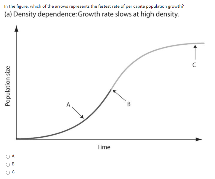 Solved In the figure, which of the arrows represents the | Chegg.com