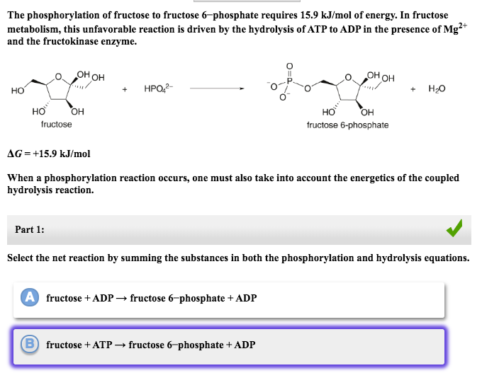 Solved The phosphorylation of fructose to fructose | Chegg.com