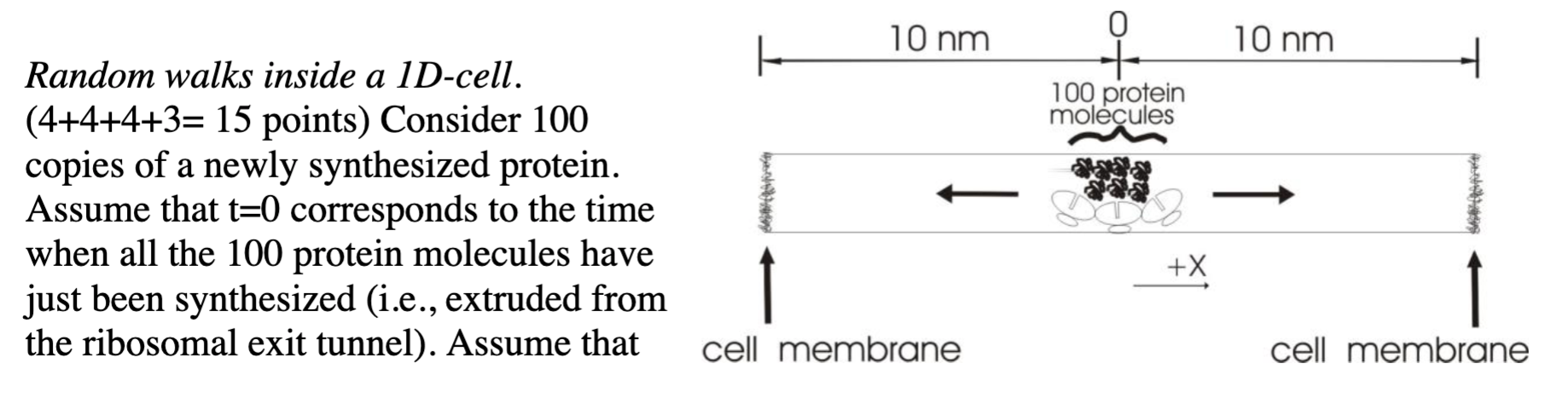 Solved Random walks inside a 1D-cell. (4+4+4+3=15 points) | Chegg.com