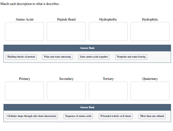 Solved Match each description to what it describes. | Chegg.com